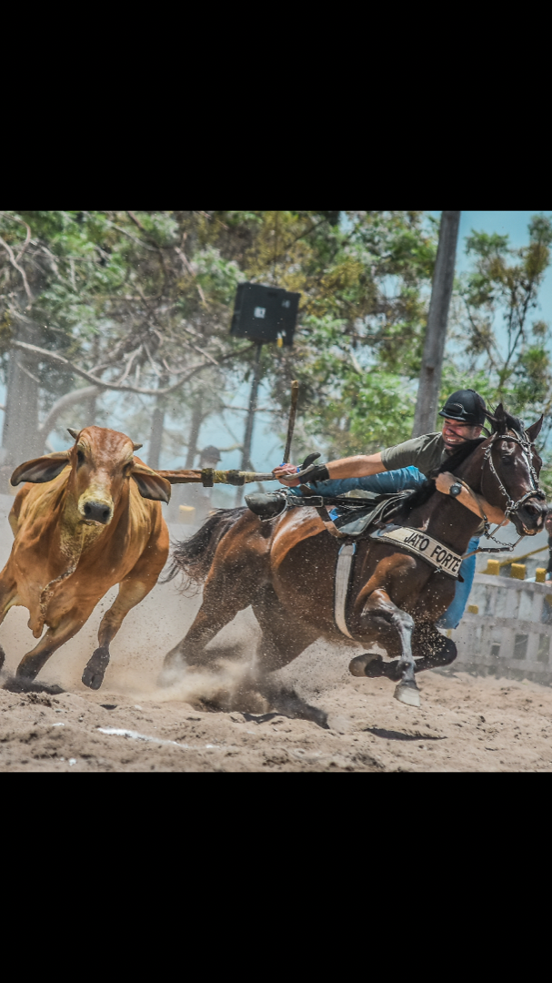 Matgar, artistas en Casting - Casting